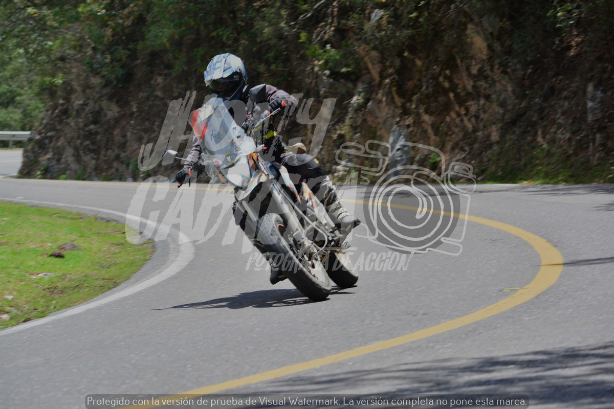 DSC 1060 — Postimages