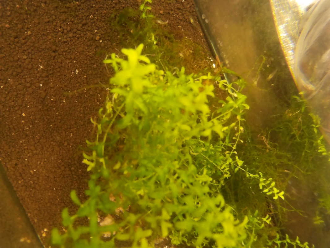 2016 0317 013028 003 — Postimages