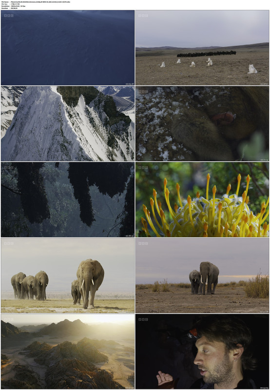 Planet Earth III S01 E06 Extremes 2160p i P WEB DL AAC2 0 HLG H 265 ...
