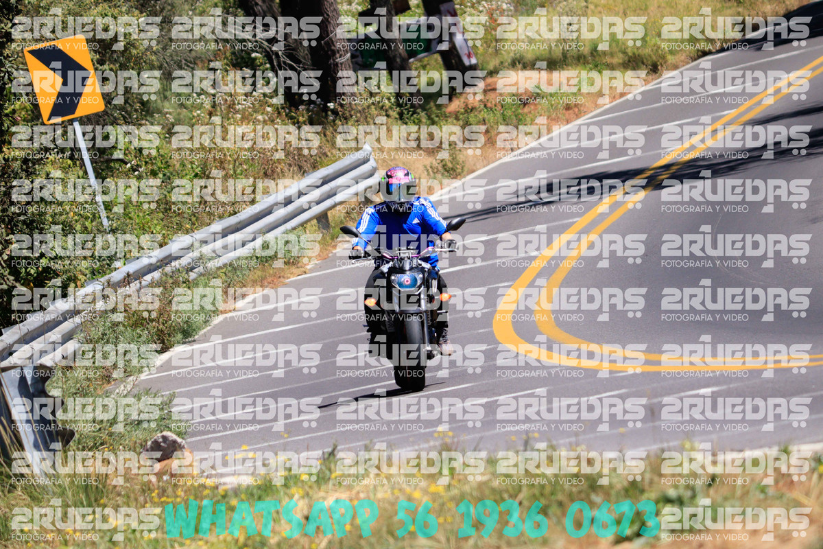 MG 1029 — Postimages