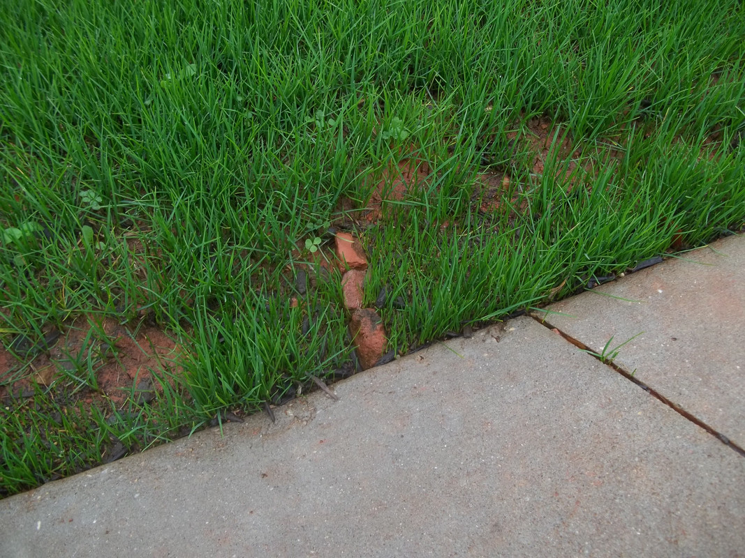 Lawn Pictures UPLOADED on Monday 12 21 15 0156 — Postimages