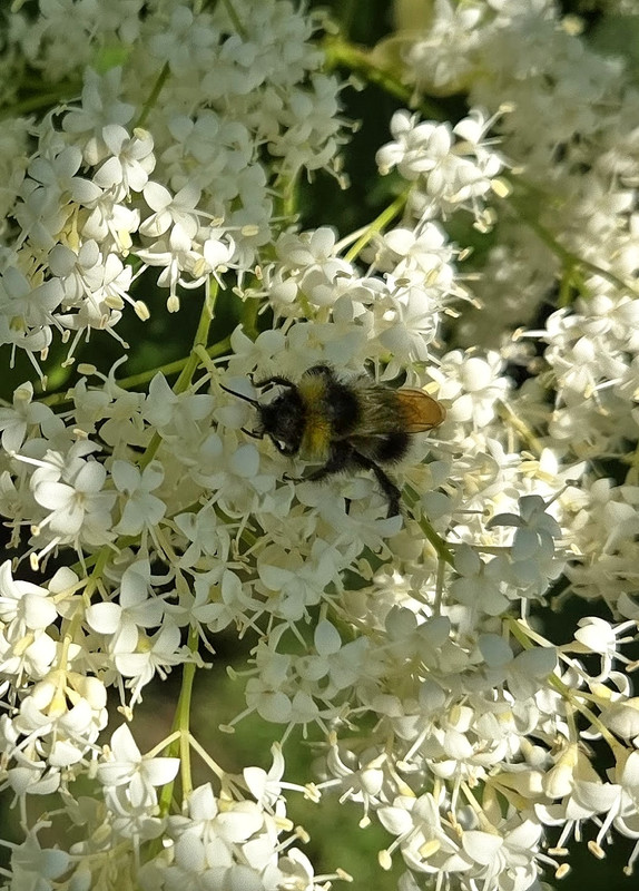 20250620 164900 2 — Postimages