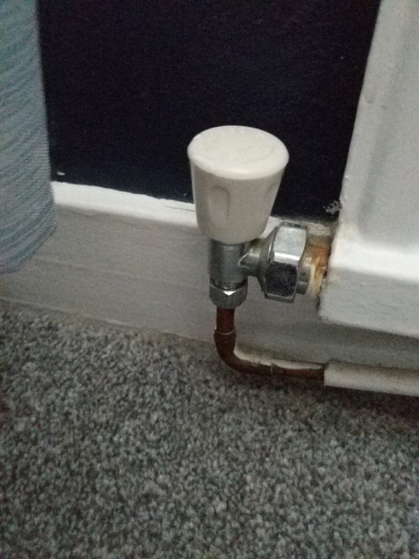 Installing TRVs to a radiator with twin inlet : r/DIYUK