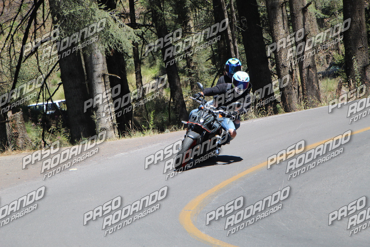 IMG 0904 wm 4286049 199999999 watermarked — Postimages