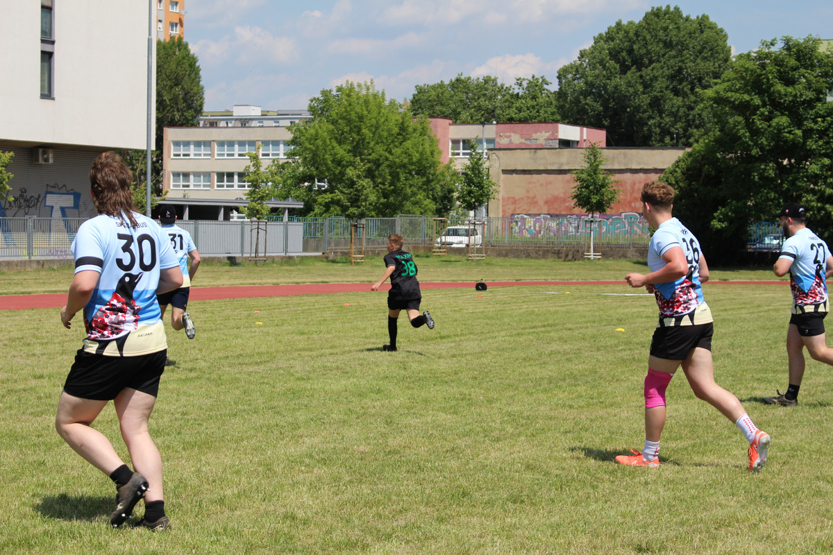 IMG 8985 — Postimages