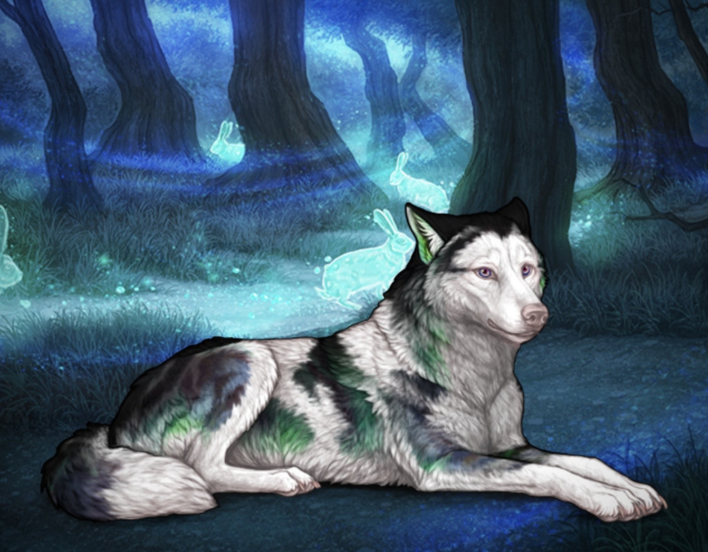 ♥𝐒𝐩𝐫𝐮𝐜𝐞♥ - (Hecate T* 10M) Piebald: Frontal | Bismuth | G2 |:| Wolvden