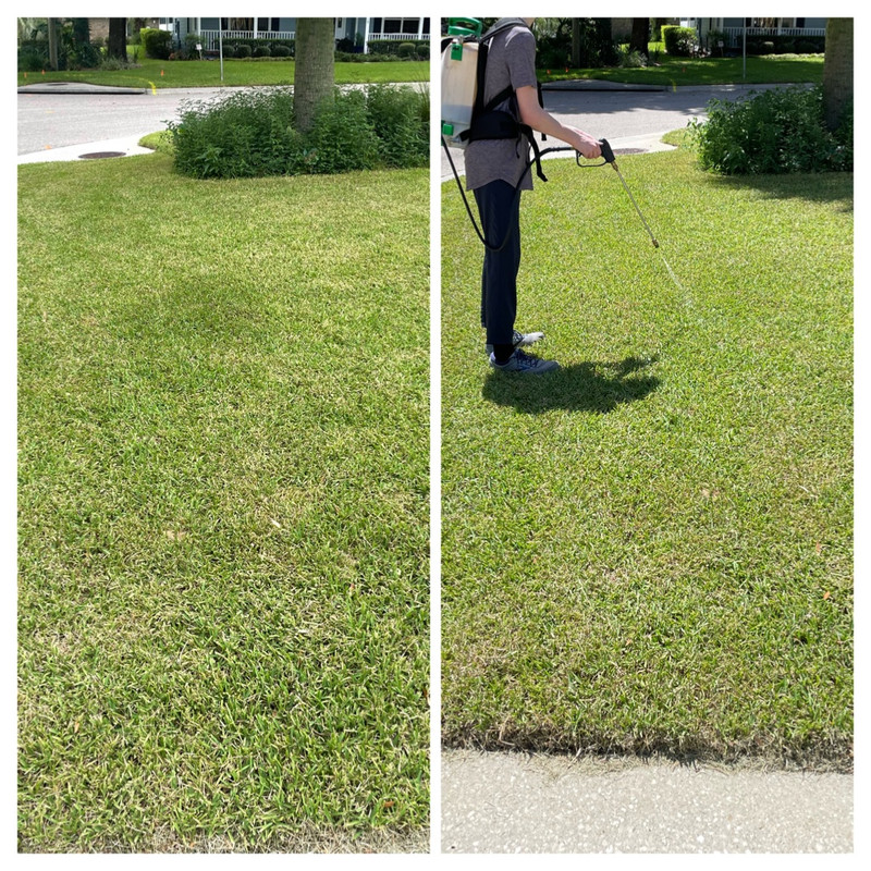 7600 CF62 786 B 4 E48 B466 748 A43 A382 D0 — Postimages