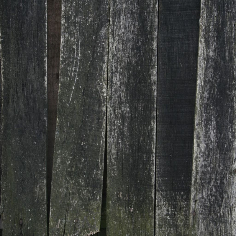 1wood texture big 100724 — Postimages
