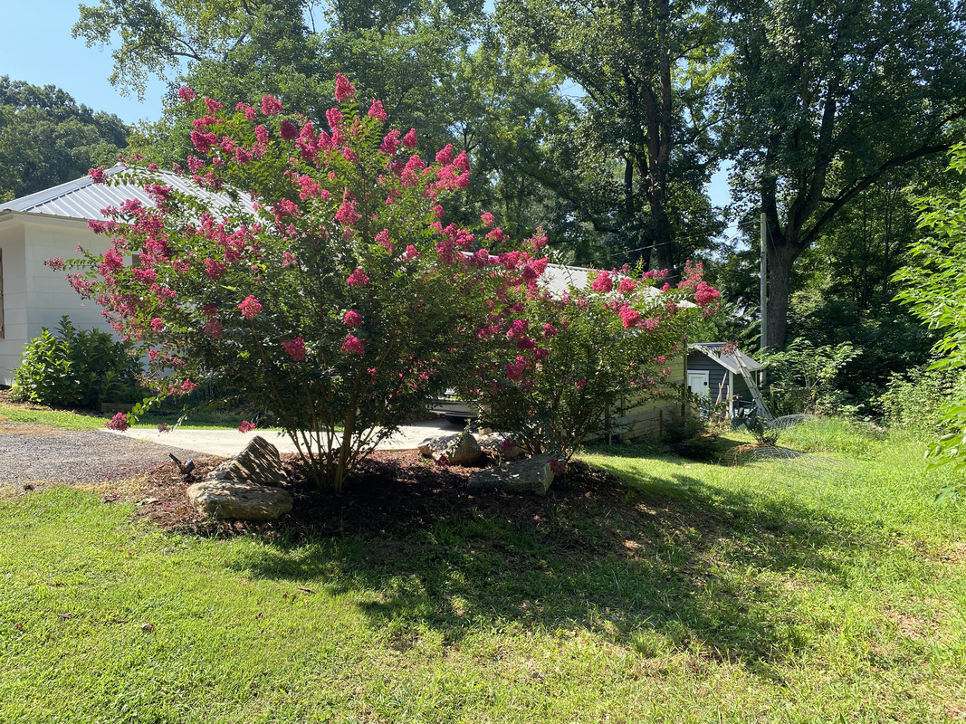 IMG 3034 — Postimages