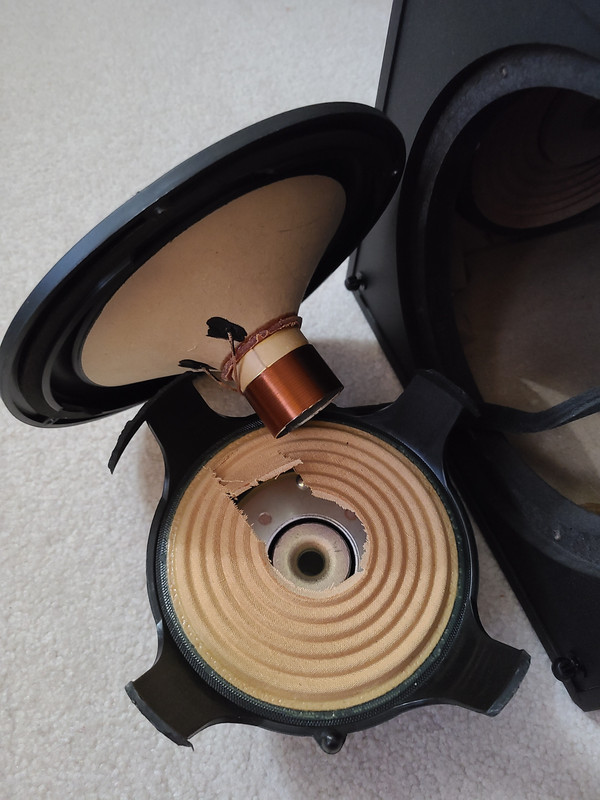 Question about Definitive Technology ProSub 800 Powered Subwoofer ...