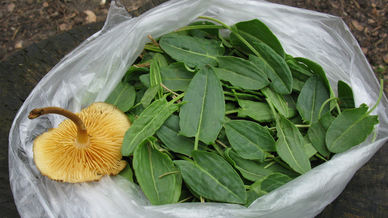 IMG 9975 — Postimages