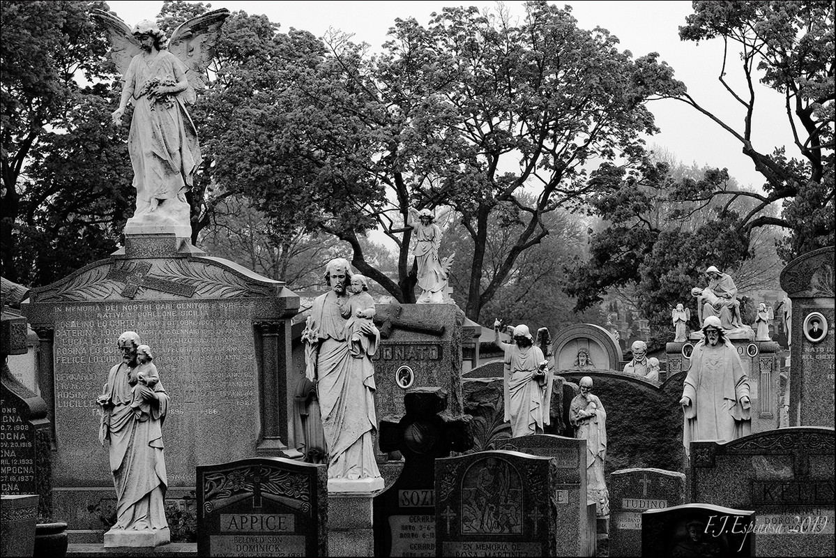 DSCF0591 BN — Postimages