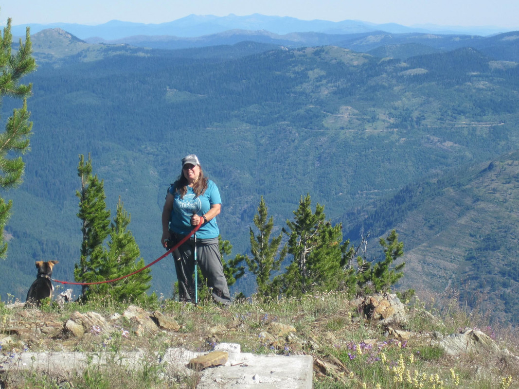 Scenery, Holly at top — Postimages