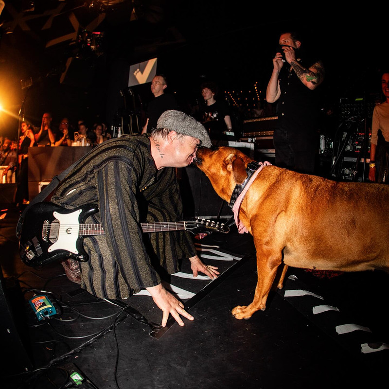 Pete Doherty interview: 'grassroots venues are the lifeblood of music ...