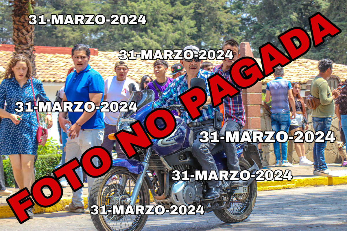 CV 1249 — Postimages