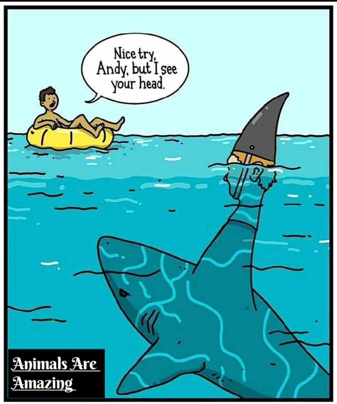 IMG 2388 — Postimages