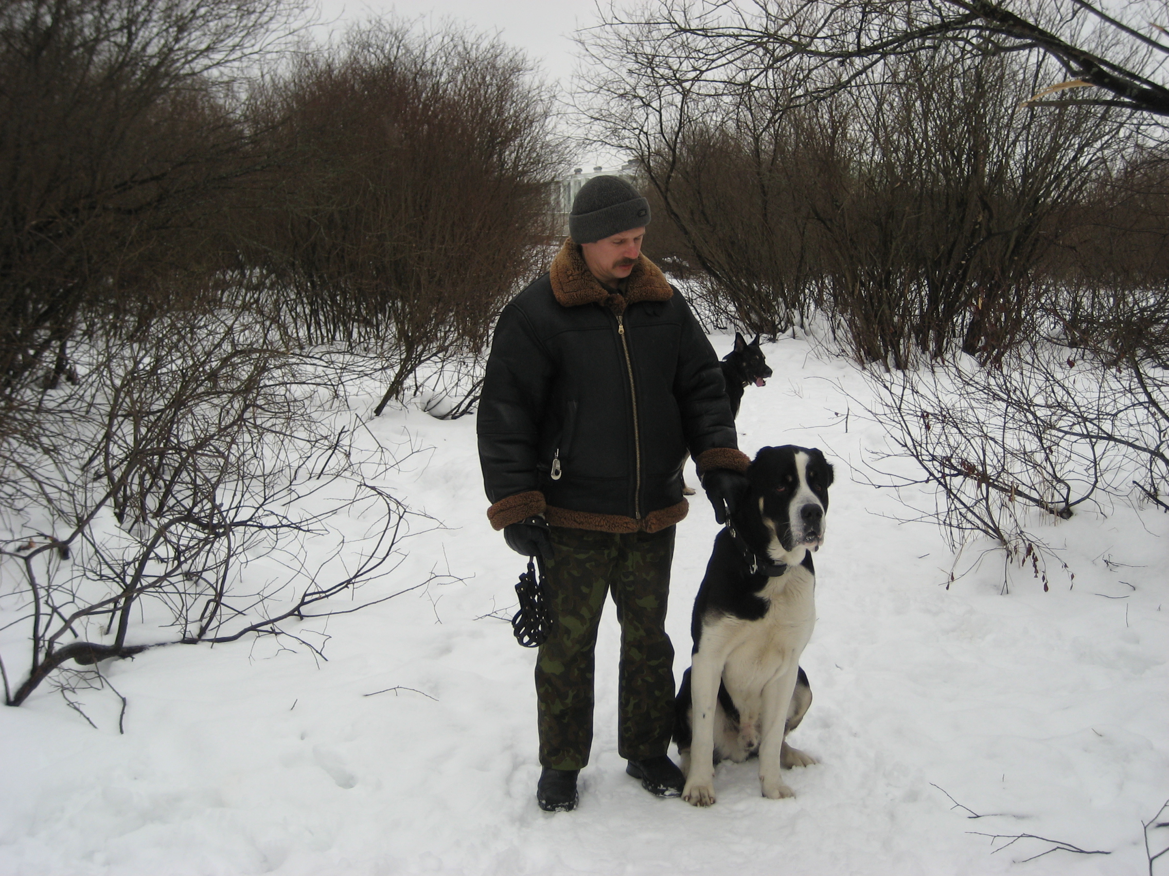 Изображение 046 — Postimages