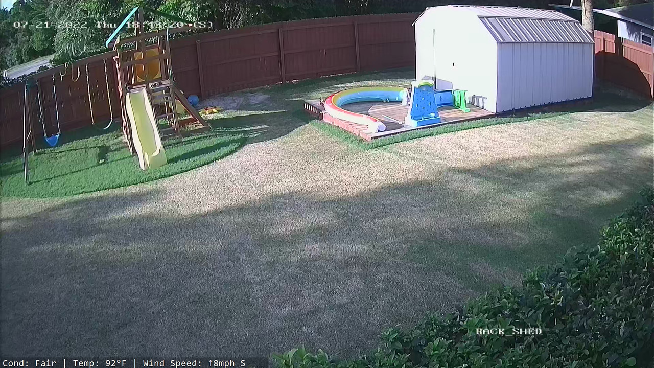 Back Shed 2022 07 21 06 43 21 921 PM — Postimages