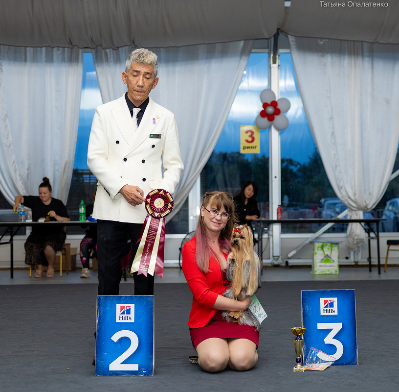 IMG 7163 — Postimages