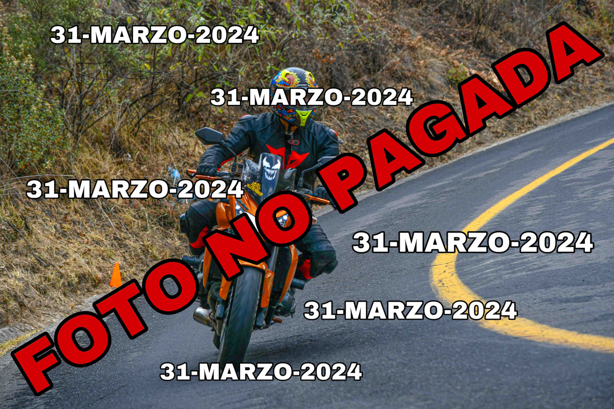 CC 3221 — Postimages