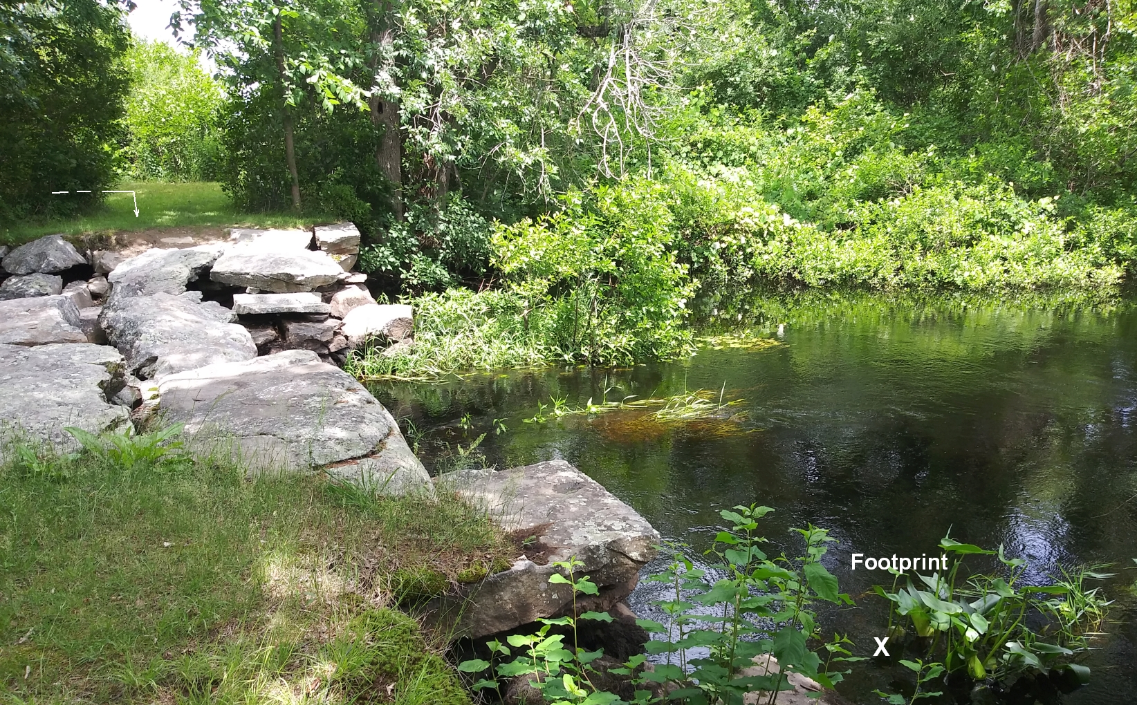 JD Skim Milk Bridge Alternate View1 Footprint1 — Postimages