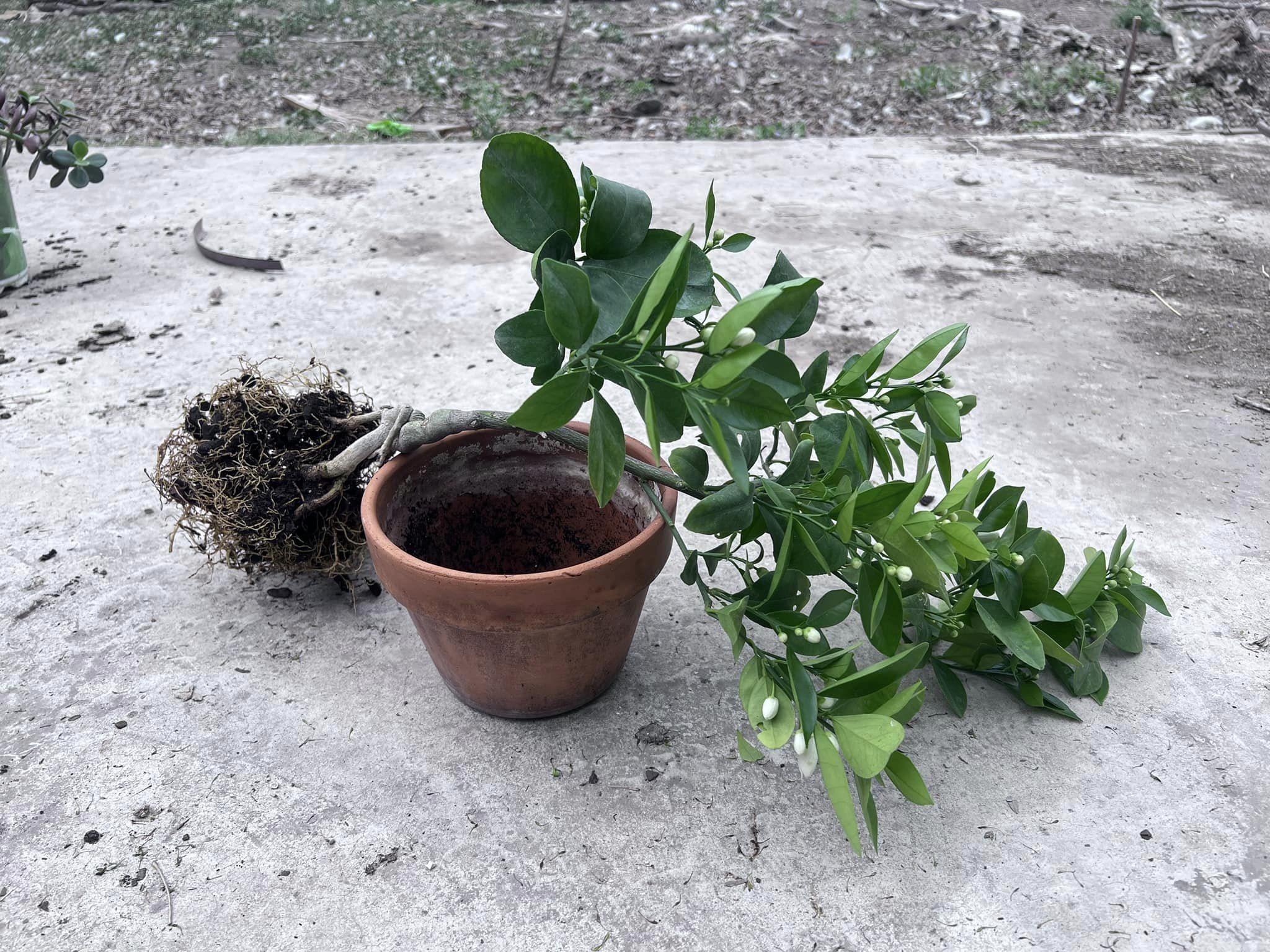 micronow — Postimages