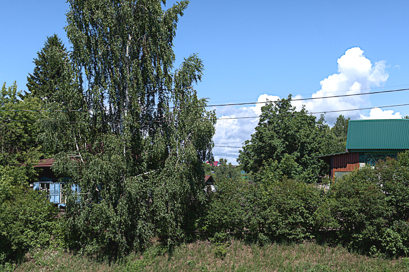 DSCF1100 — Postimages