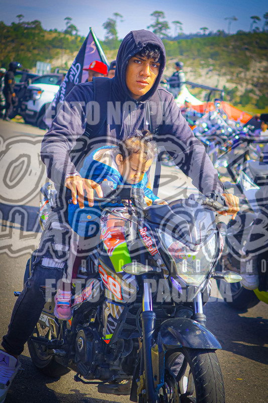 PL2 2039 — Postimages