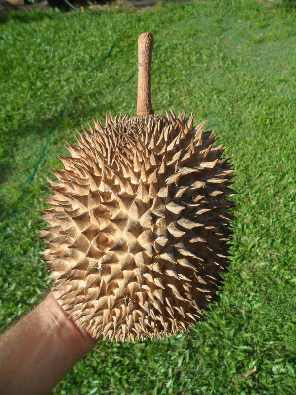 SAM 0764 — Postimages