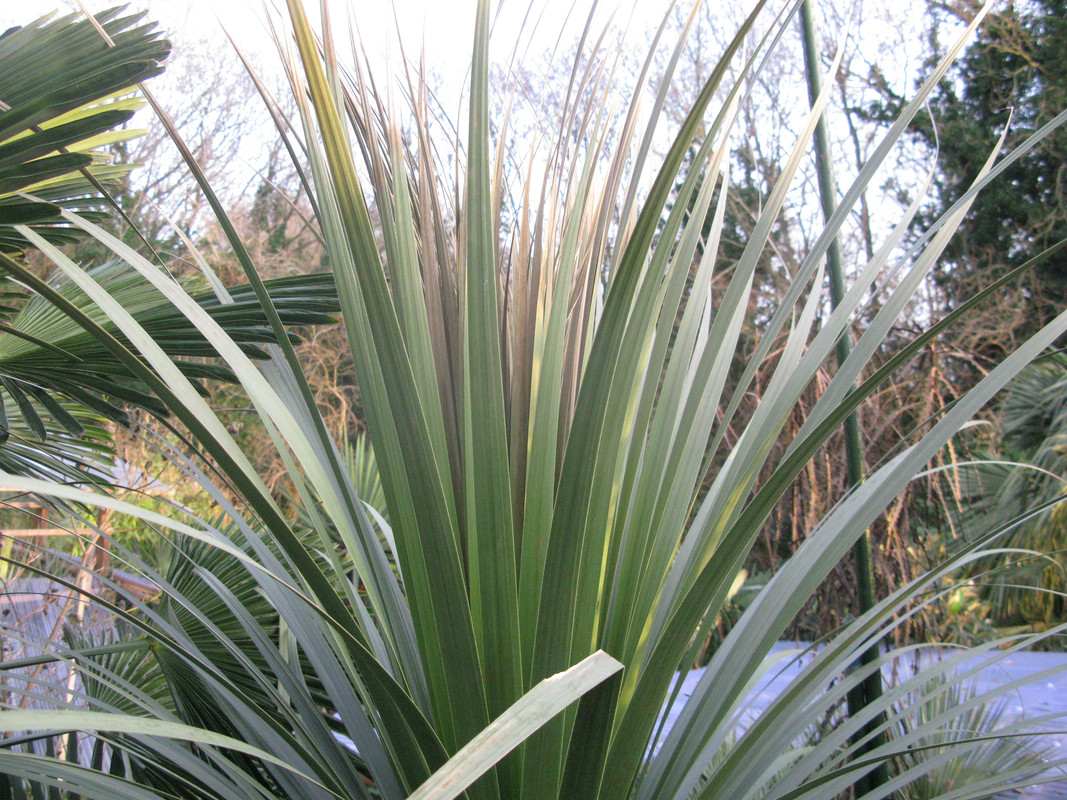 IMG 0184 — Postimages