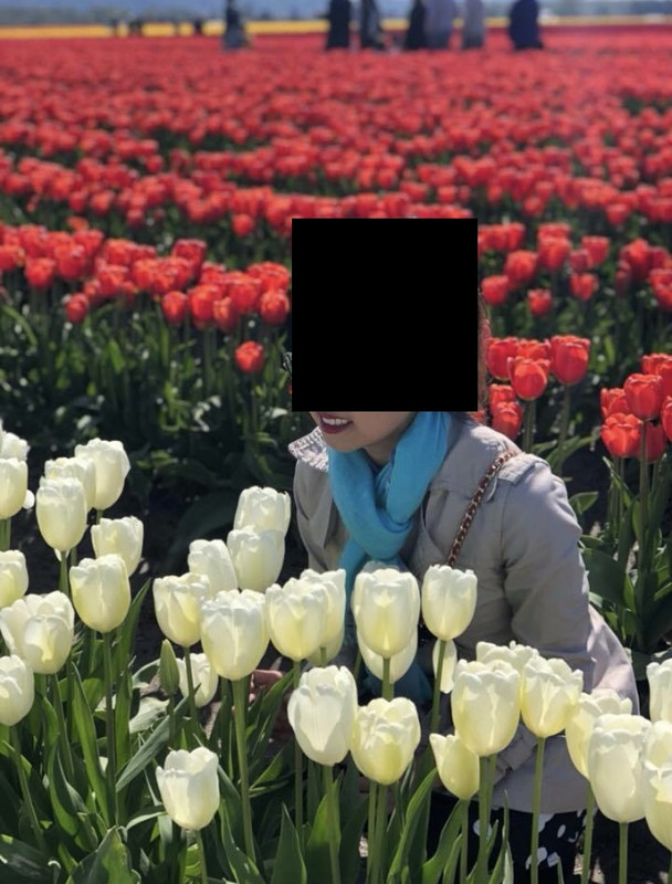 6 EBA0504 231 C 411 F 9505 68 A17 AA987 CC — Postimages