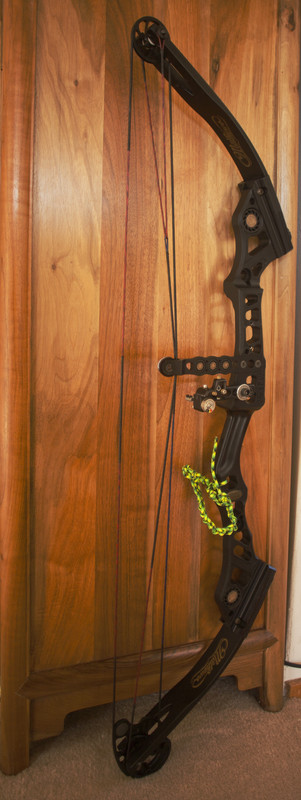 Single cam nock travel | Archery Talk Forum