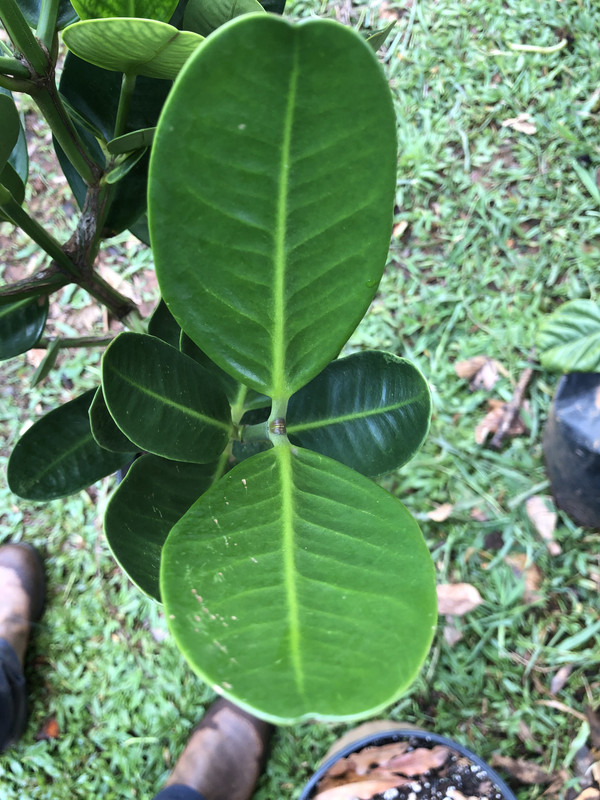 IMG 0722 — Postimages