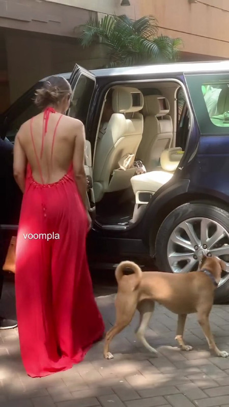 IMG 20221110 160039 504 — Postimages