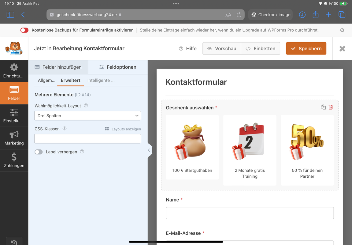 Wpforms Checkbox Images Are Not In One Line 