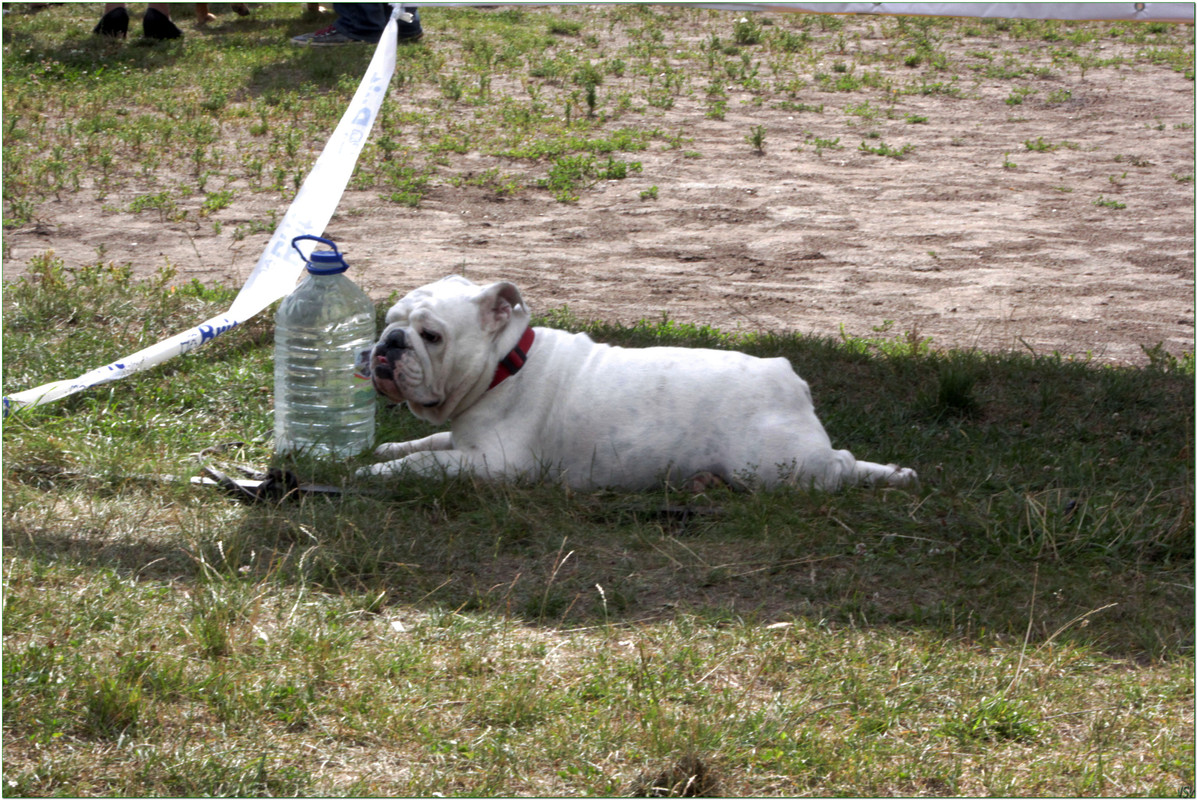 IMG 1602 — Postimages