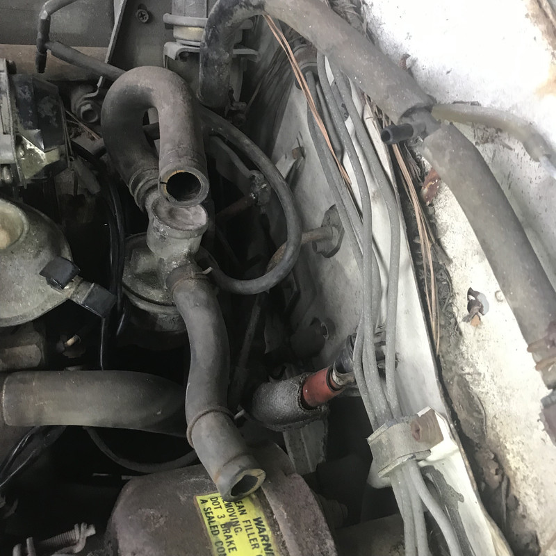 IMG 2093 — Postimages