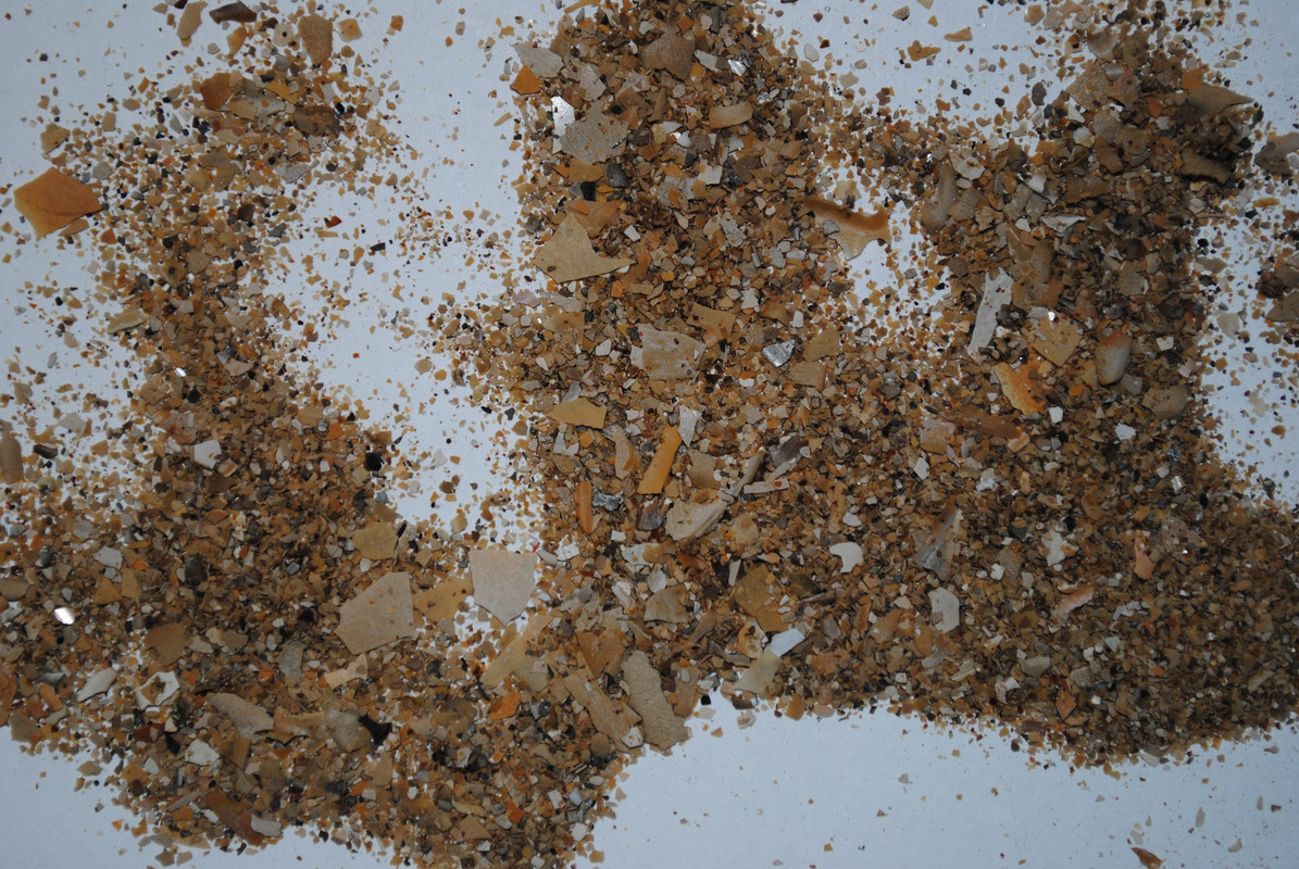 DSC 0031 — Postimages