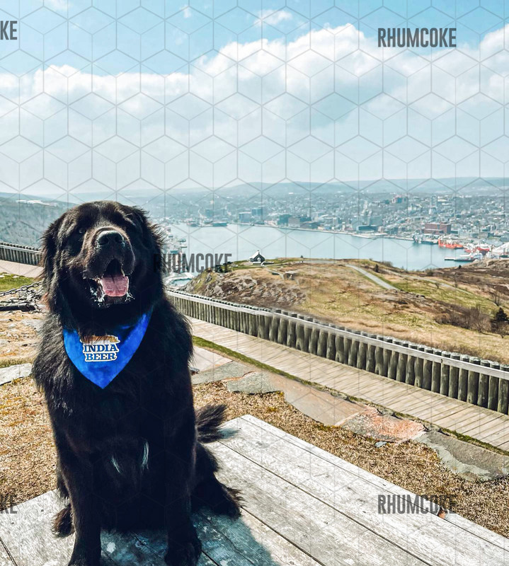 4ujh6tu2z0f81 — Postimages