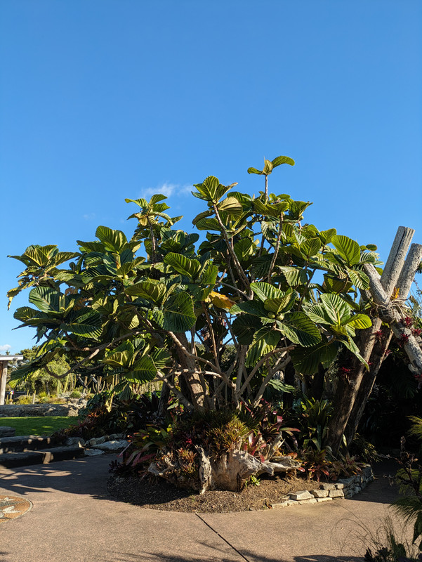 fig 3 — Postimages