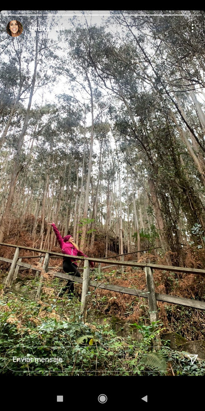 Screenshot 2020 12 27 17 12 40 782 com instagram android — Postimages