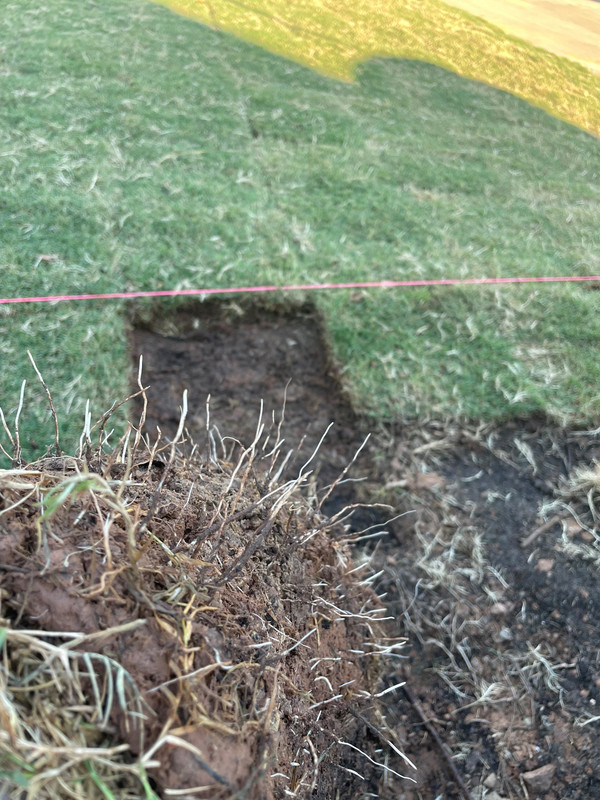 Roots 9 13 22 — Postimages