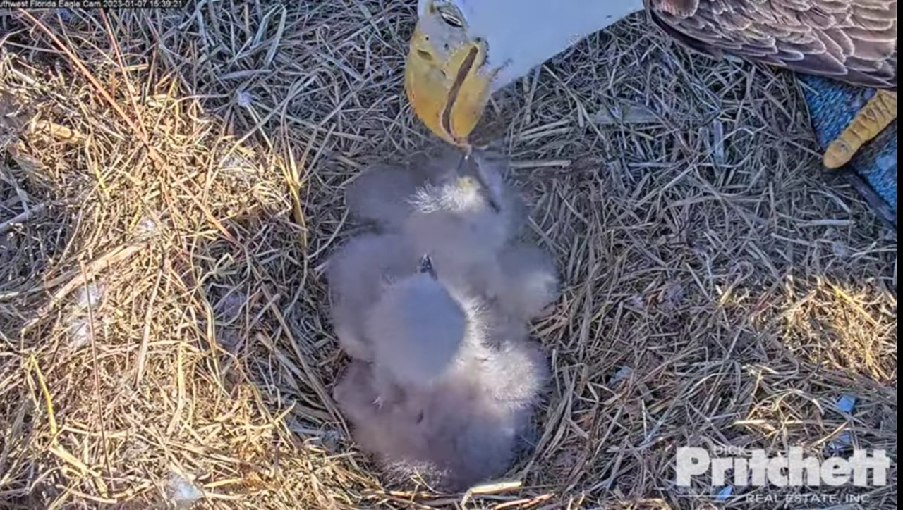 IMG 20230107 224159 — Postimages