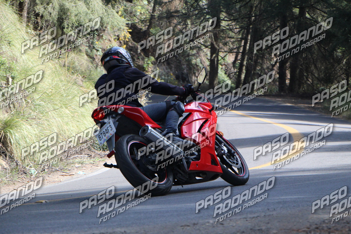 IMG 8312 wm 6774209 199999999 watermarked — Postimages