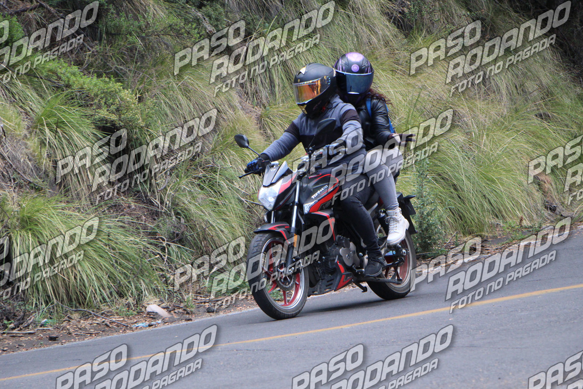 IMG 8713 wm 9170655 9 watermarked — Postimages