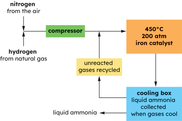 Reversible Reactions & Equilibria | GCSE Chemistry Revision | KS4