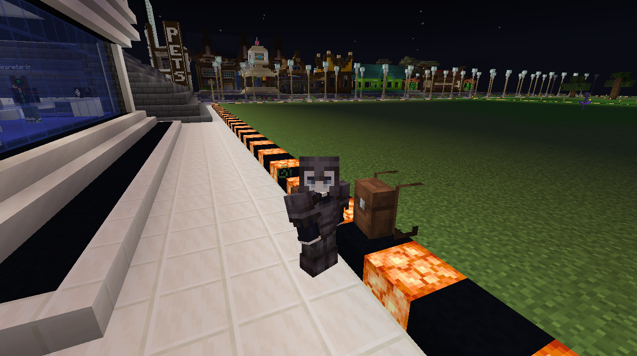 Basic model backpack | SpigotMC - High Performance Minecraft Community