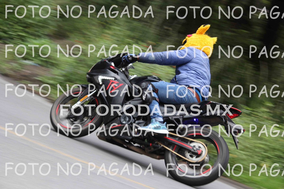 IMG 1370 — Postimages