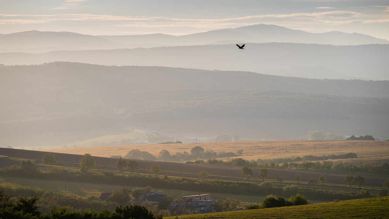 DSC 8264 — Postimages