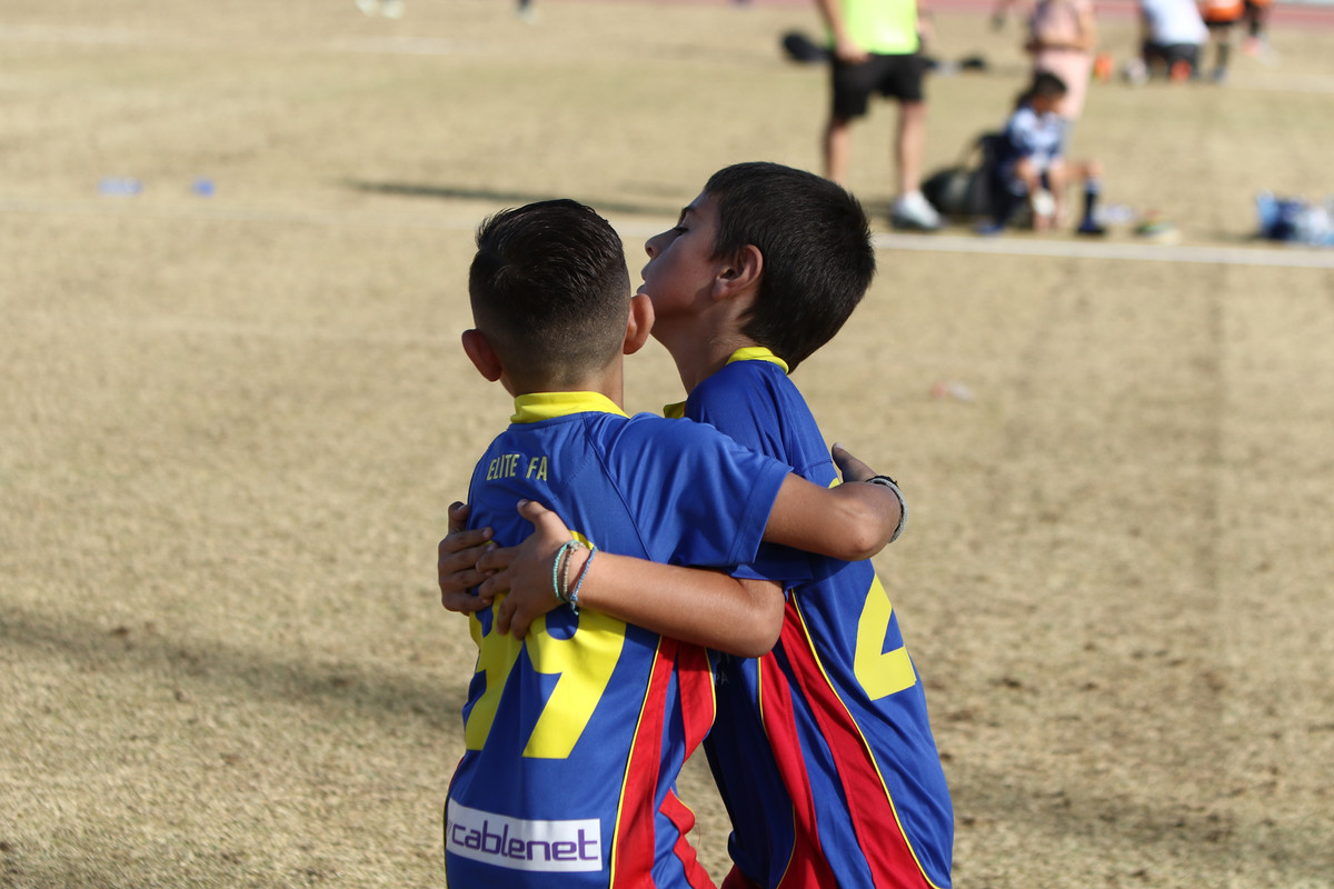 VIK 3068 — Postimages